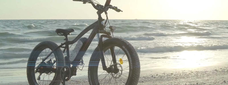 Rad Stories: Endless Summer | Rad Power Bikes | Rad Power Bikes