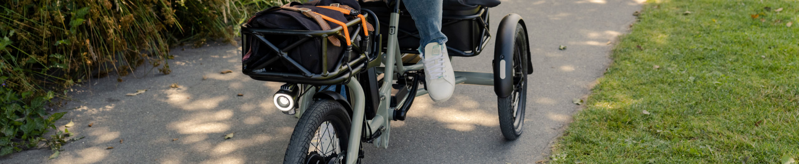 Electric Tricycles | Etrikes for All Riders | Rad Power Bikes | Rad ...